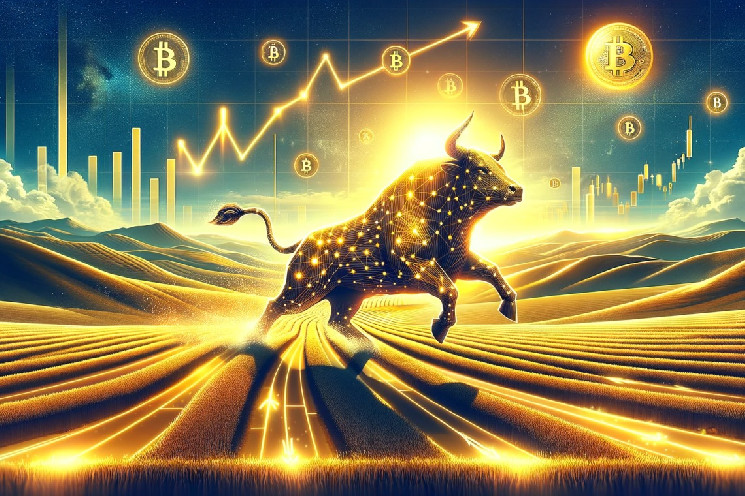 Le Bitcoin Bull Run touche-t-il à sa fin ? Dévoilement du cycle actuel ...