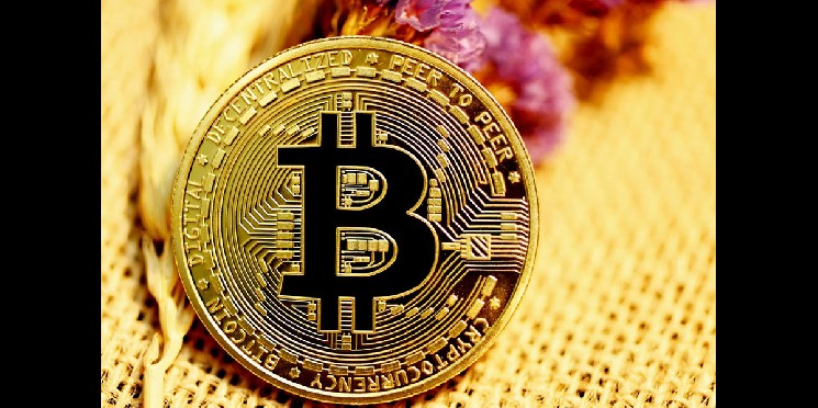 Le pivot programmable – Comment ZK-Rollups et BitVM lancent la DeFi ...
